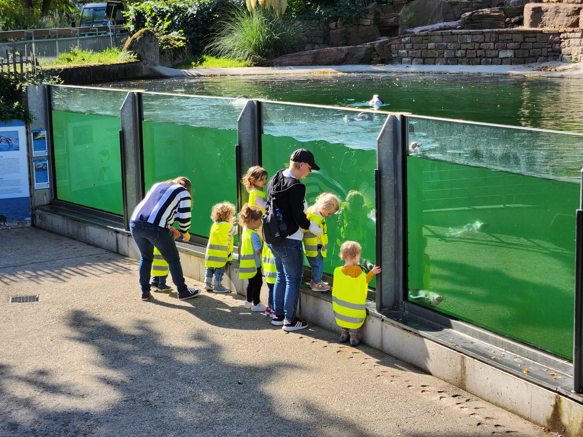 Ein Tag im Zoo! | TEV